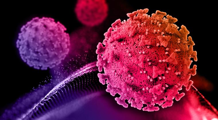 Merus’ Zenocutuzumab, a HER2-HER3 Bispecific Antibody, Successfully ...